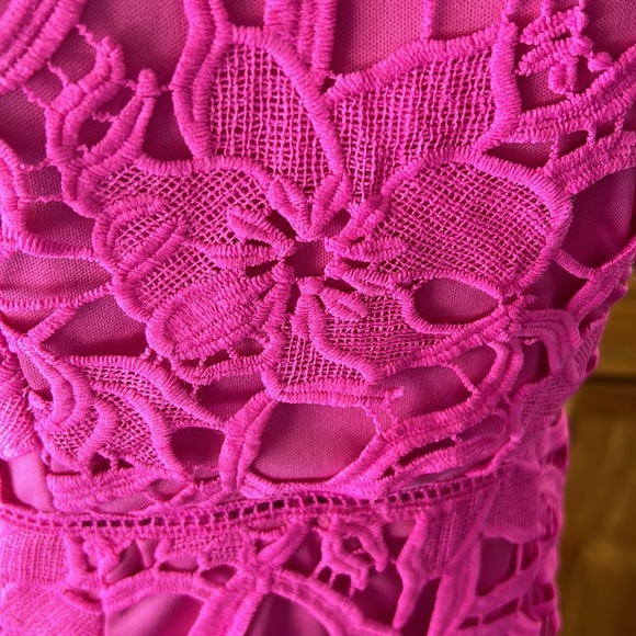 Alexia Admor | Dresses | Gorgeous Magenta Lace Dress Brand New | Poshmark